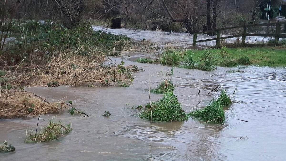 Tom Morrison MP Calls for Urgent Action Following Devastating New Year ...